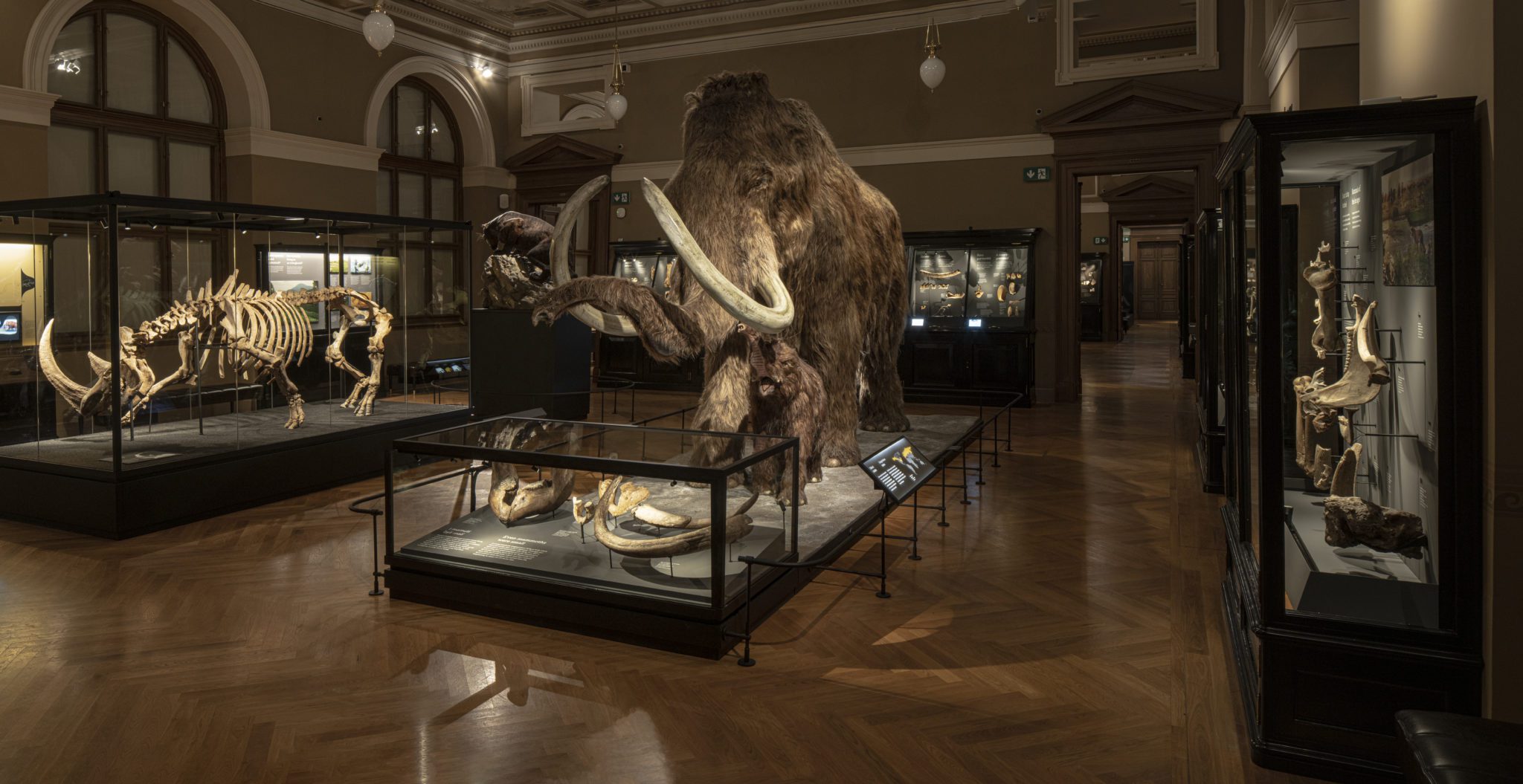 National Museum in Prague - Windows into prehistory - Capacity Expo