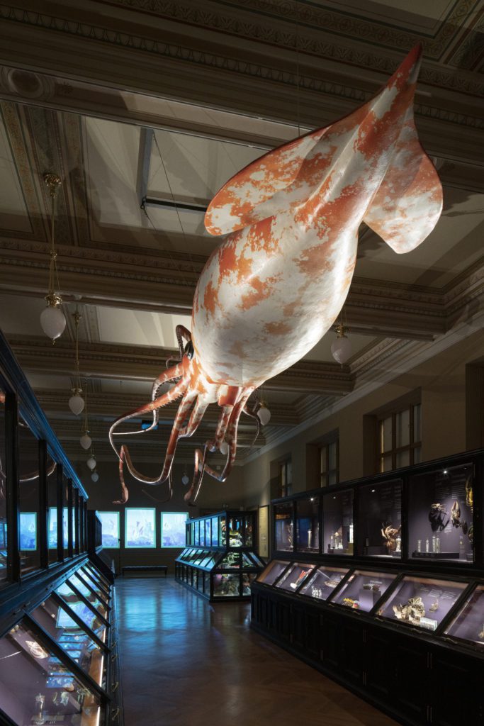 National Museum in Prague – The Miracles of Evolution - Capacity Expo