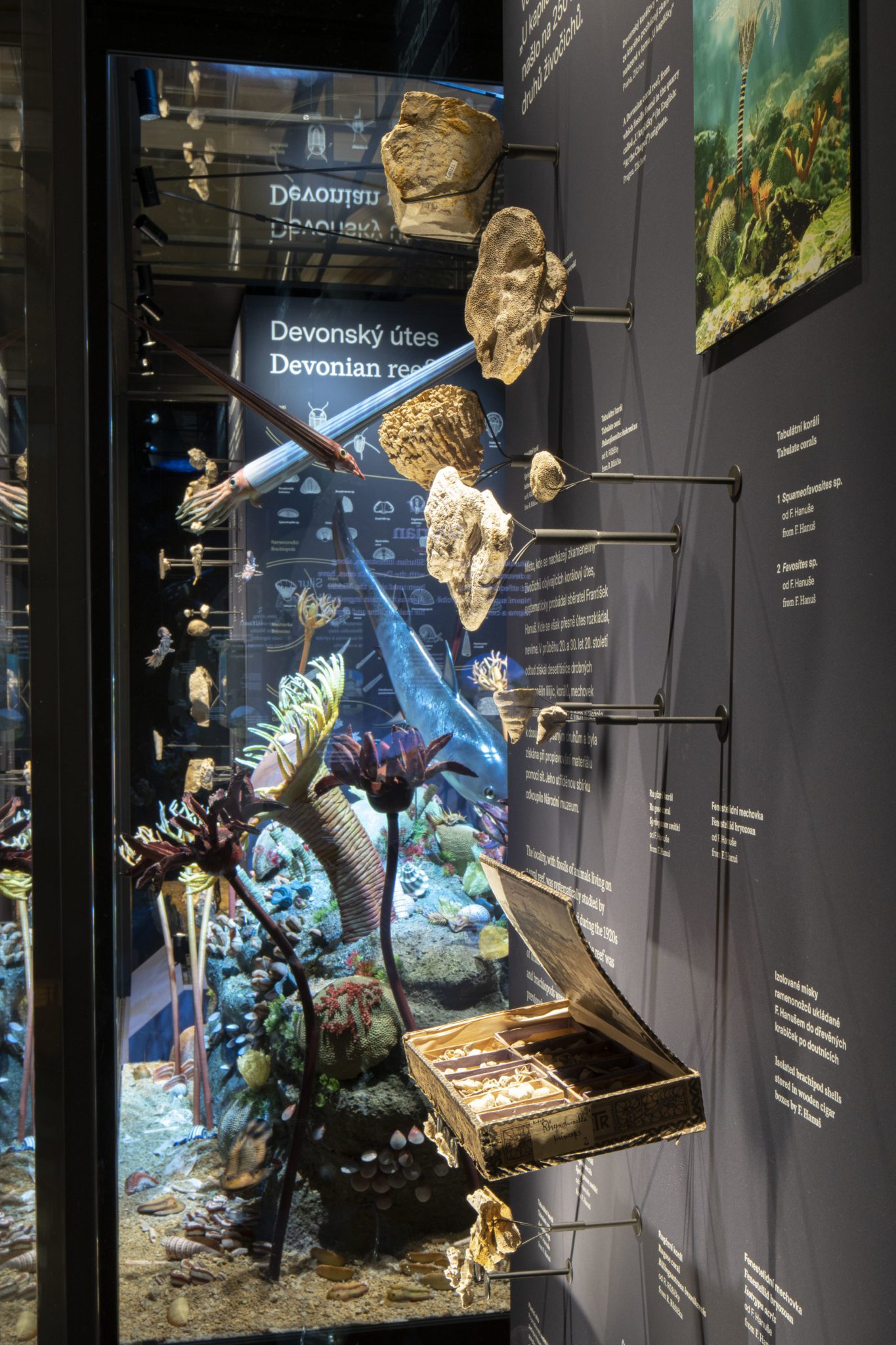 National Museum in Prague – The Miracles of Evolution - Capacity Expo